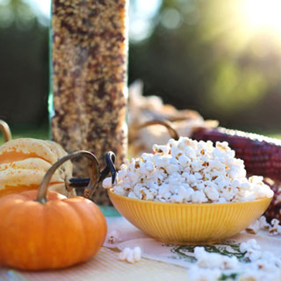 October is National Popcorn Poppin’ Month